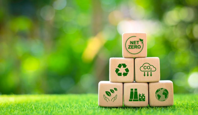 Navigating the Path to Net Zero - A Guide to Decarbonisation Frameworks | UK Business Magazine