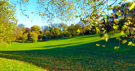 Best Parks in London - Top 10 Parks | UK Business Magazine