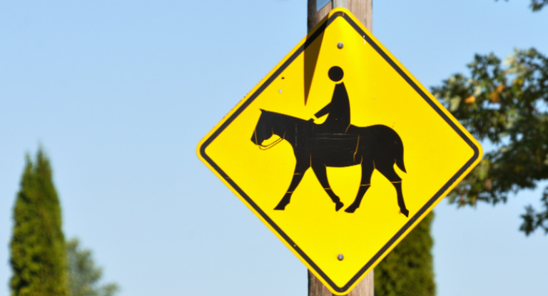 What Is a Pelican Crossing and Its Types? | UK Business Magazine