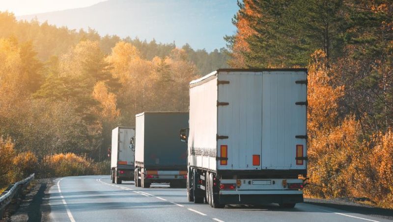 The Ultimate Guide to Road Freight Forwarding for Pallets Between the UK and Holland | UK ...