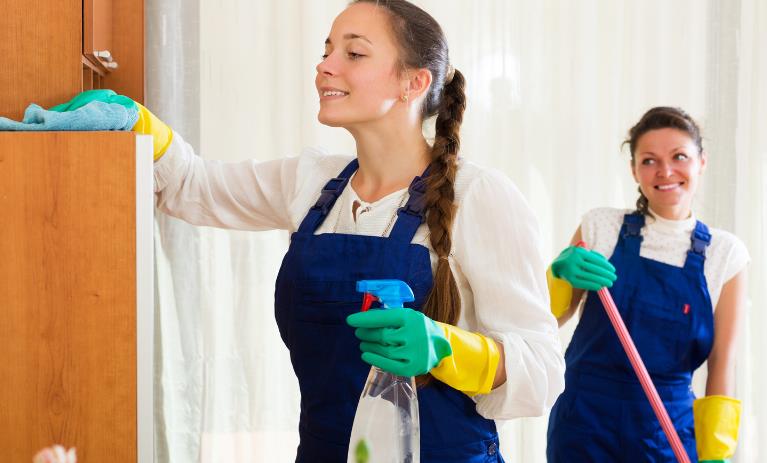 5 Things Professional Home Cleaners Can Do That You Cannot | UK ...