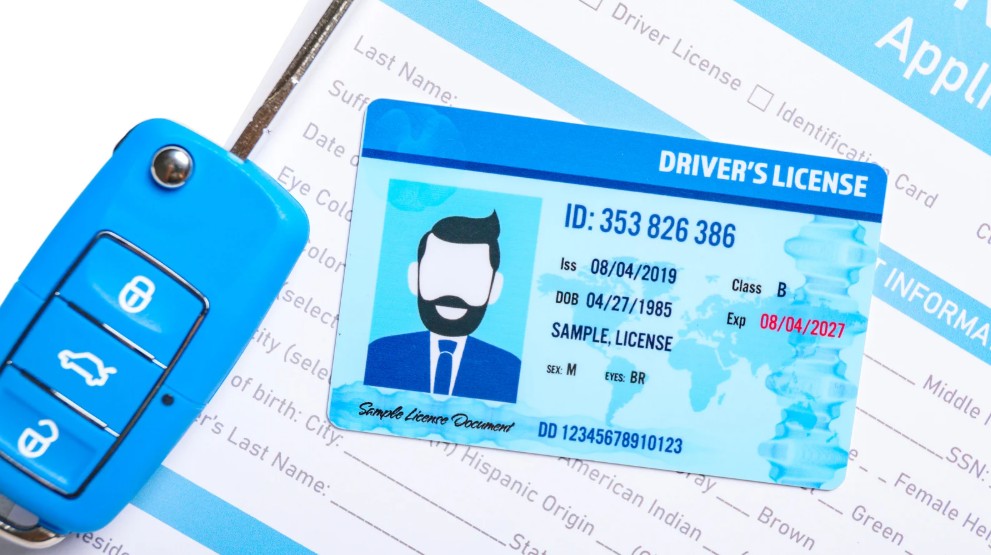 How Much is a Provisional License in the UK? | UK Business Magazine