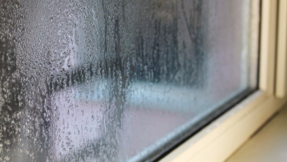 How to Stop Condensation on Windows | UK Business Magazine